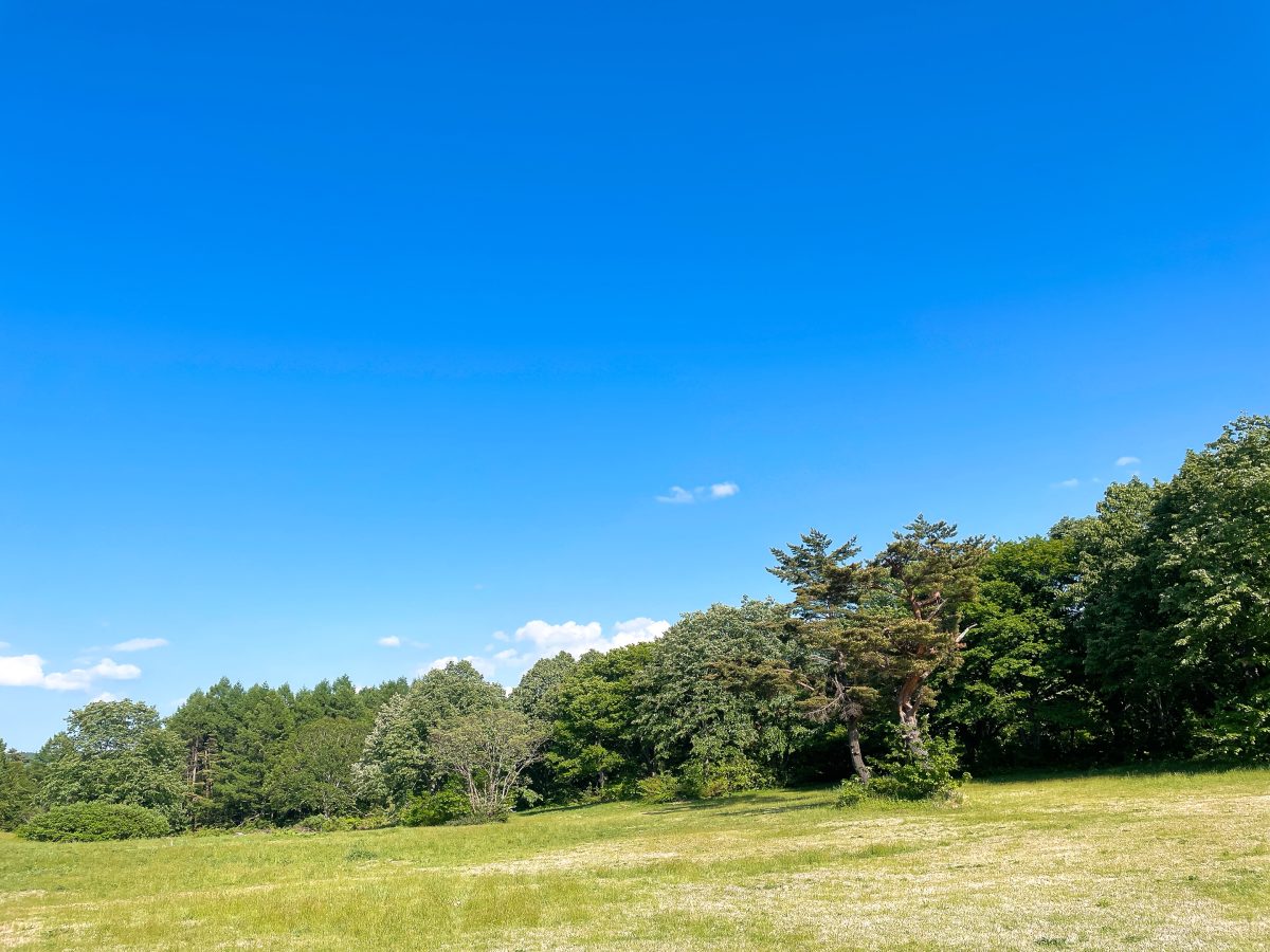 ドライブ日和 in 萱野高原 | 株式会社ページワン - PAGEONE co., ltd.